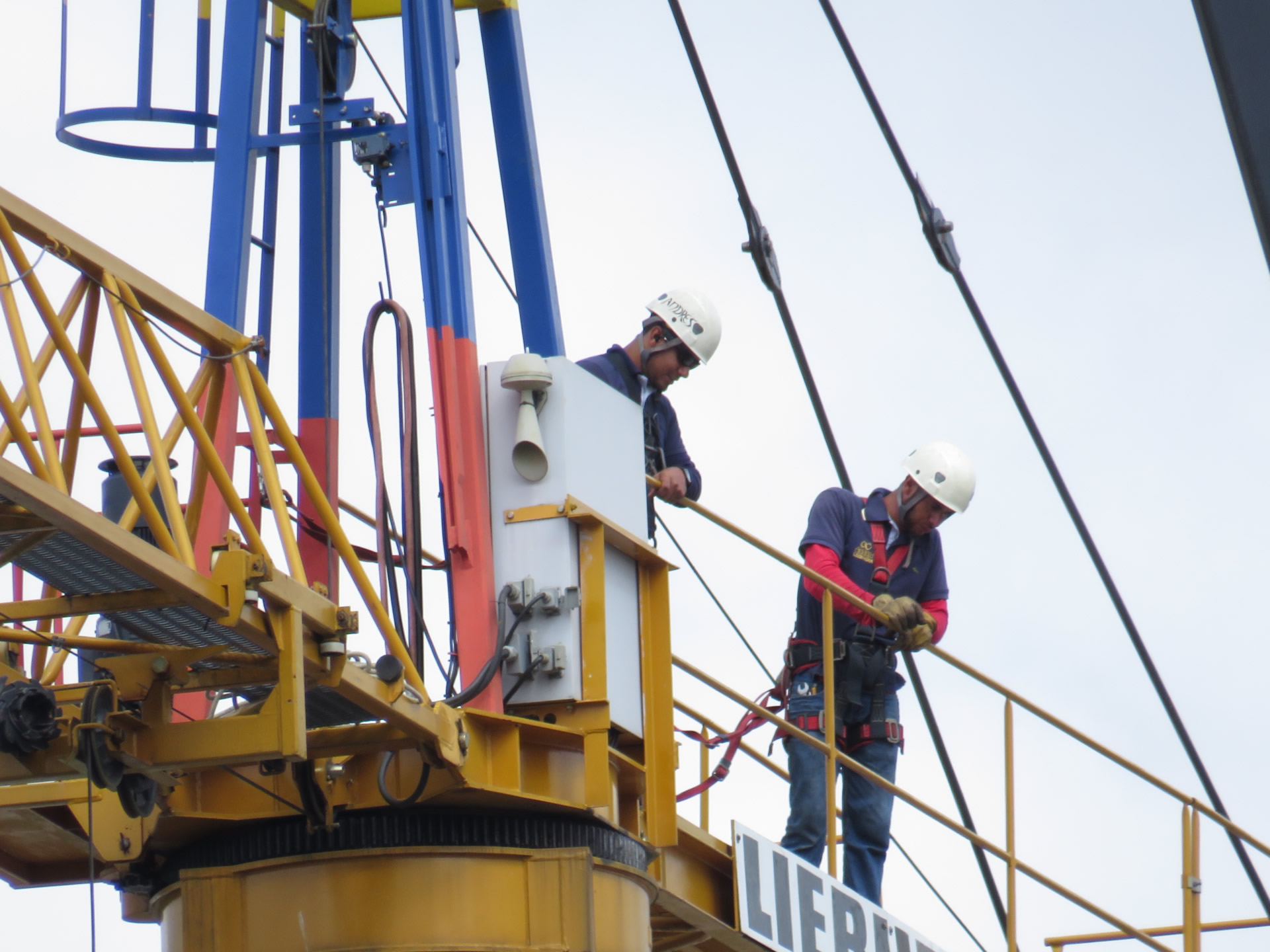 Alquiler y venta de gruas torre LIEBHERR en Colombia